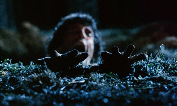 American Genre Film Archive DEATH SCREAMS